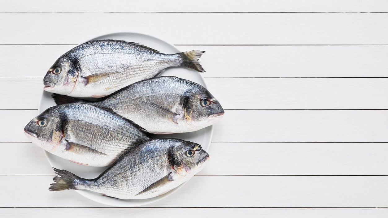 Le differenze tra spigola, branzino e orata: caratteristiche e usi in ...