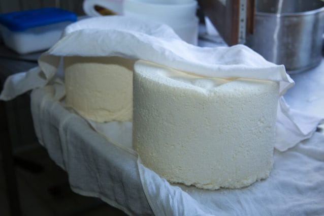Castelmagno, il formaggio erborinato re delle tavole piemontesi che ...
