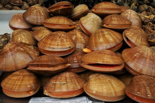 Cosa vedere e cosa mangiare a Malaga: piatti e ricette della città spagnola