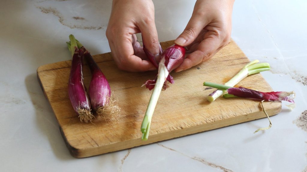 Garmugia: la ricetta della zuppa primaverile tipica di Lucca