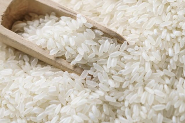 Riso per insalate: le migliori varietà da utilizzare per gustosi piatti ...