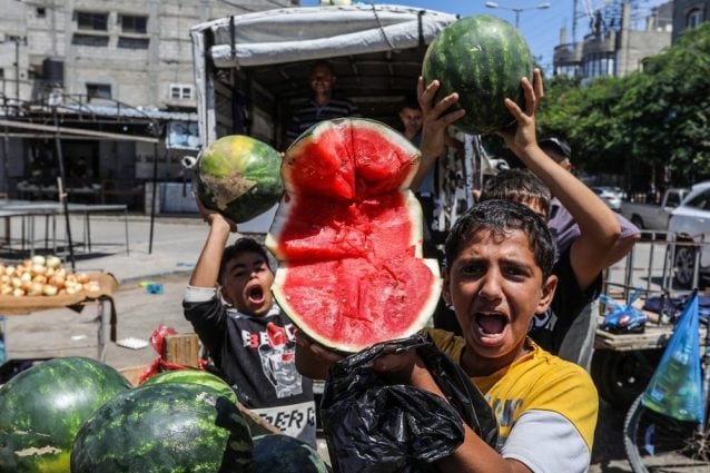 Come ha fatto l'anguria a diventare simbolo della Palestina