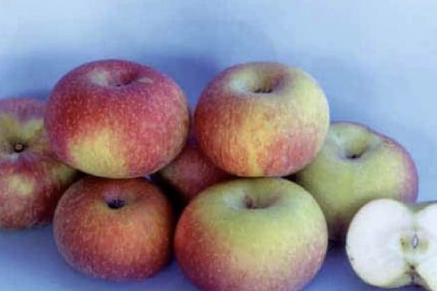 Mela rosa fragola, frutto unico al mondo che spopola su TikTok