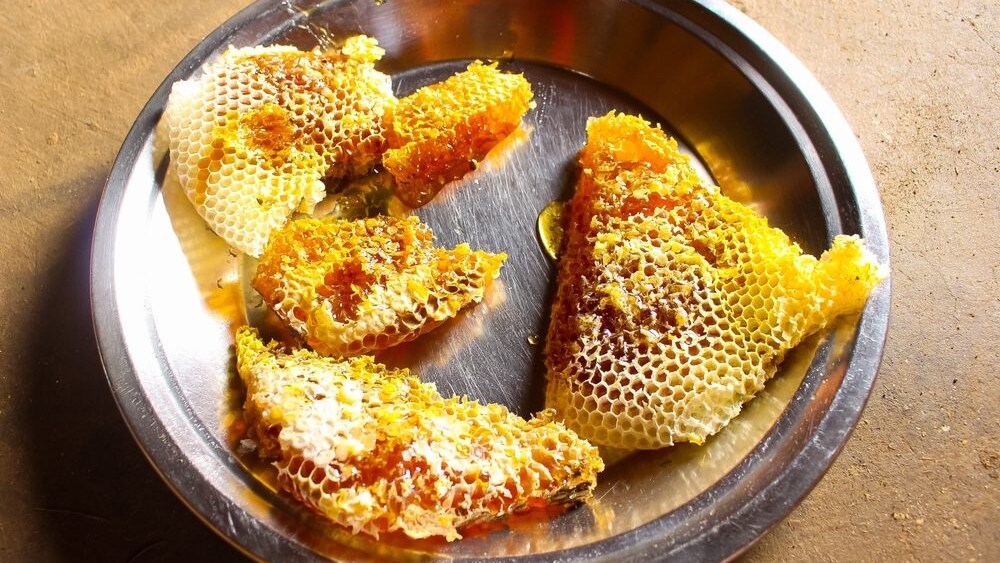 Mad Honey: com'è fatto il miele allucinogeno dell'Himalaya raccolto dai ...
