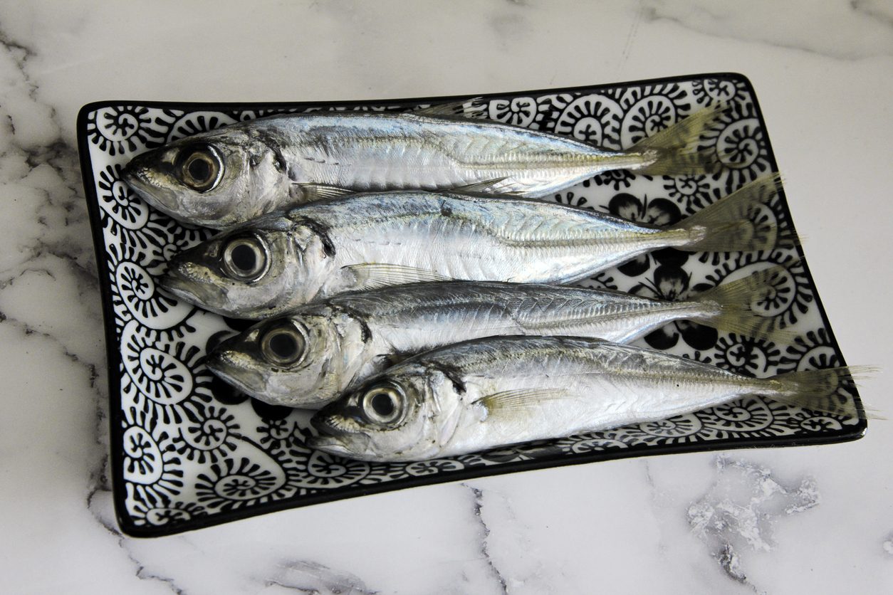 Che Cos Il Sugarello E Come Utilizzare In Cucina Questo Pesce Dimenticato Che Cos Il Sugarello E Come Utilizzare In Cucina Questo Pesce Dimenticato