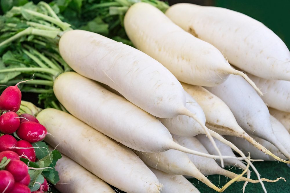 Ravanello bianco o daikon: benefici e controindicazioni di una radice ...
