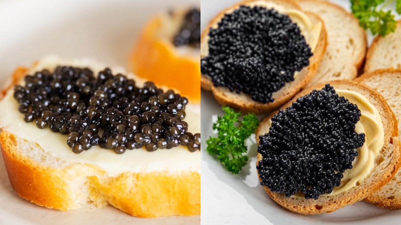 Quali sono tutte le differenze tra (uova di) caviale e lompo