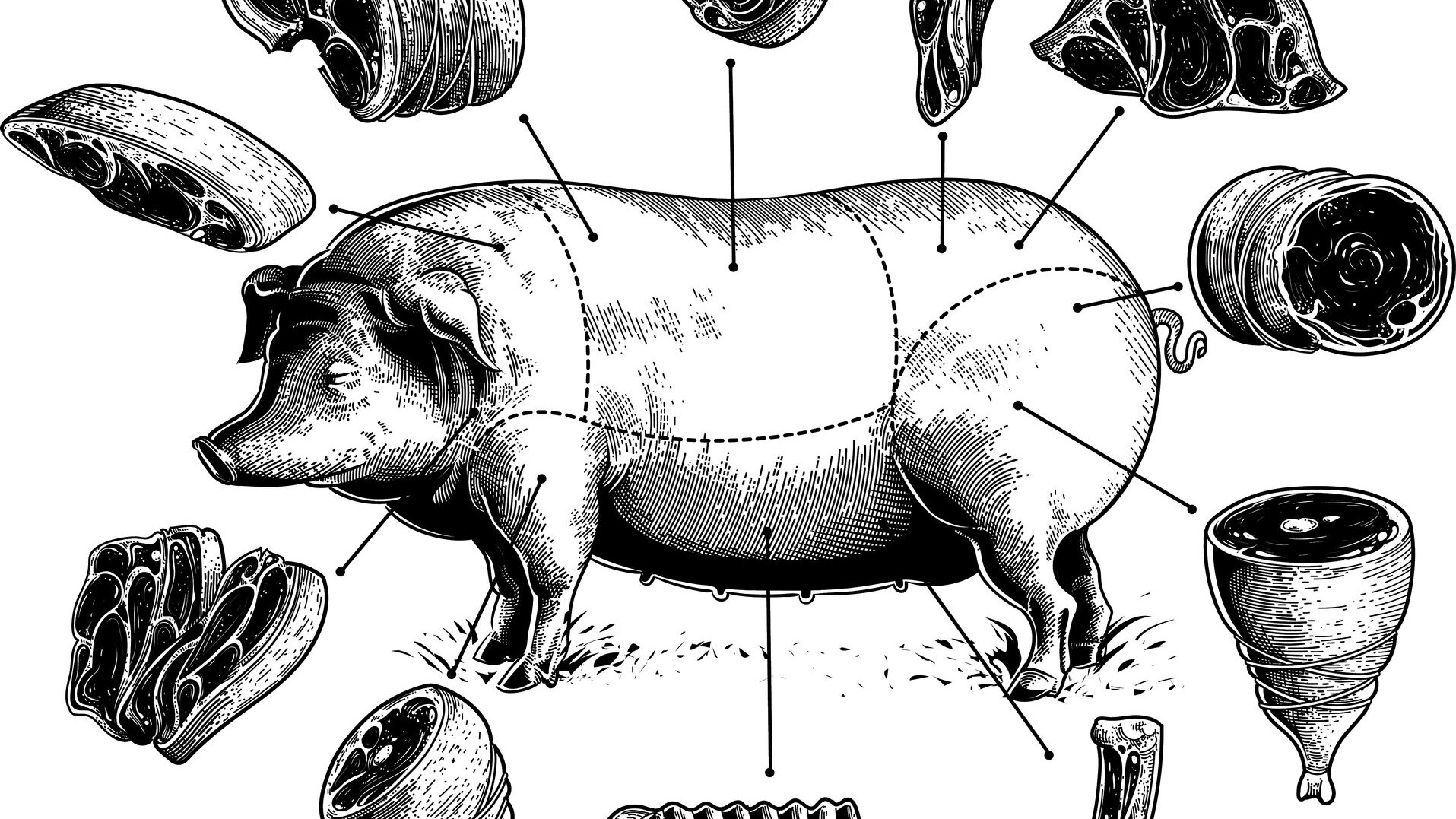 Ham Hock Recipe