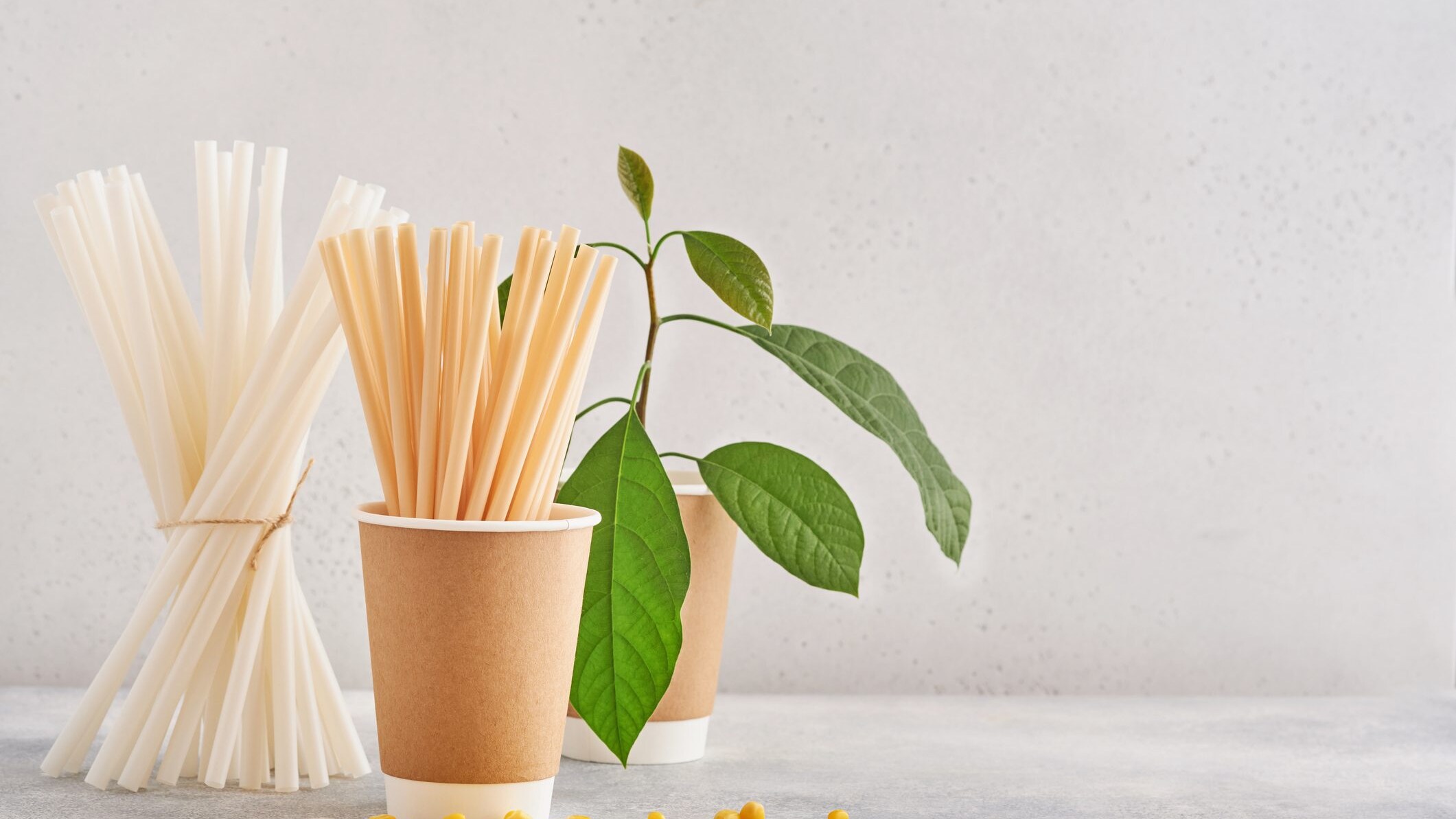 Biodegradable Straws: A Greener Solution