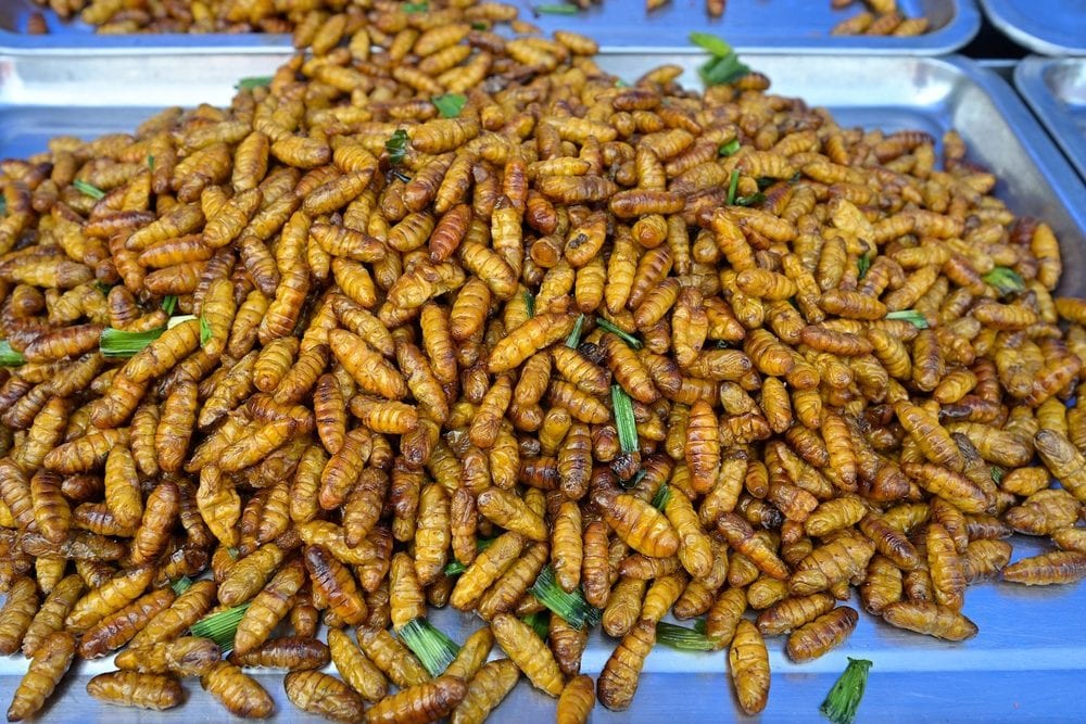 The 10 Worst Dishes in The World According to TasteAtlas