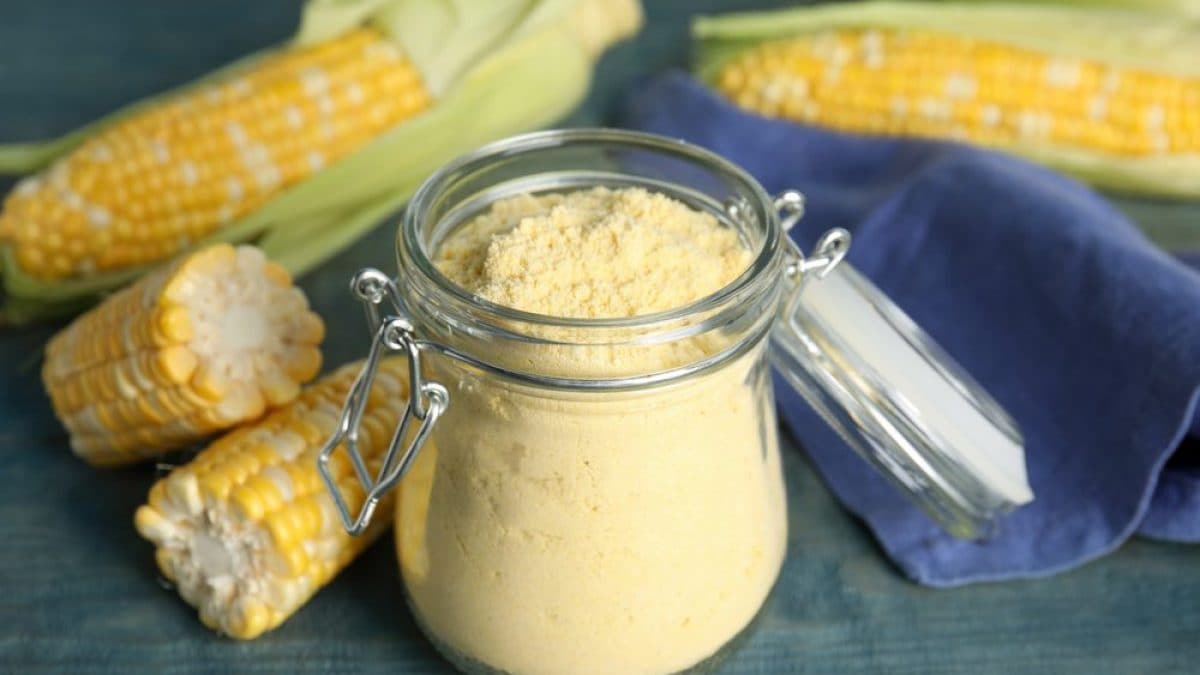 Corn Flour's Benefits, Types and How to Use It in The Kitchen